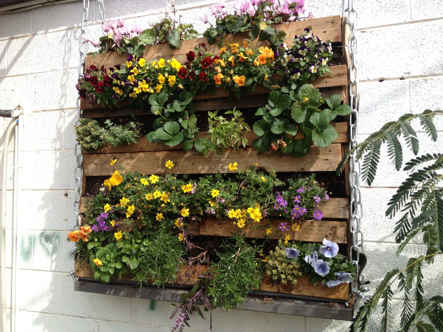 44 brilliantes idées DIY: Comment créer un mur végétal en palette pour ... 44 brilliantes idées DIY: Comment créer un mur végétal en palette pour ...