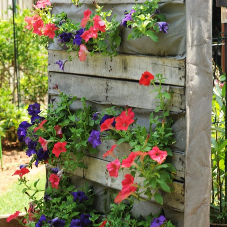 44 brilliantes idées DIY: Comment créer un mur végétal en palette pour ... 44 brilliantes idées DIY: Comment créer un mur végétal en palette pour ...