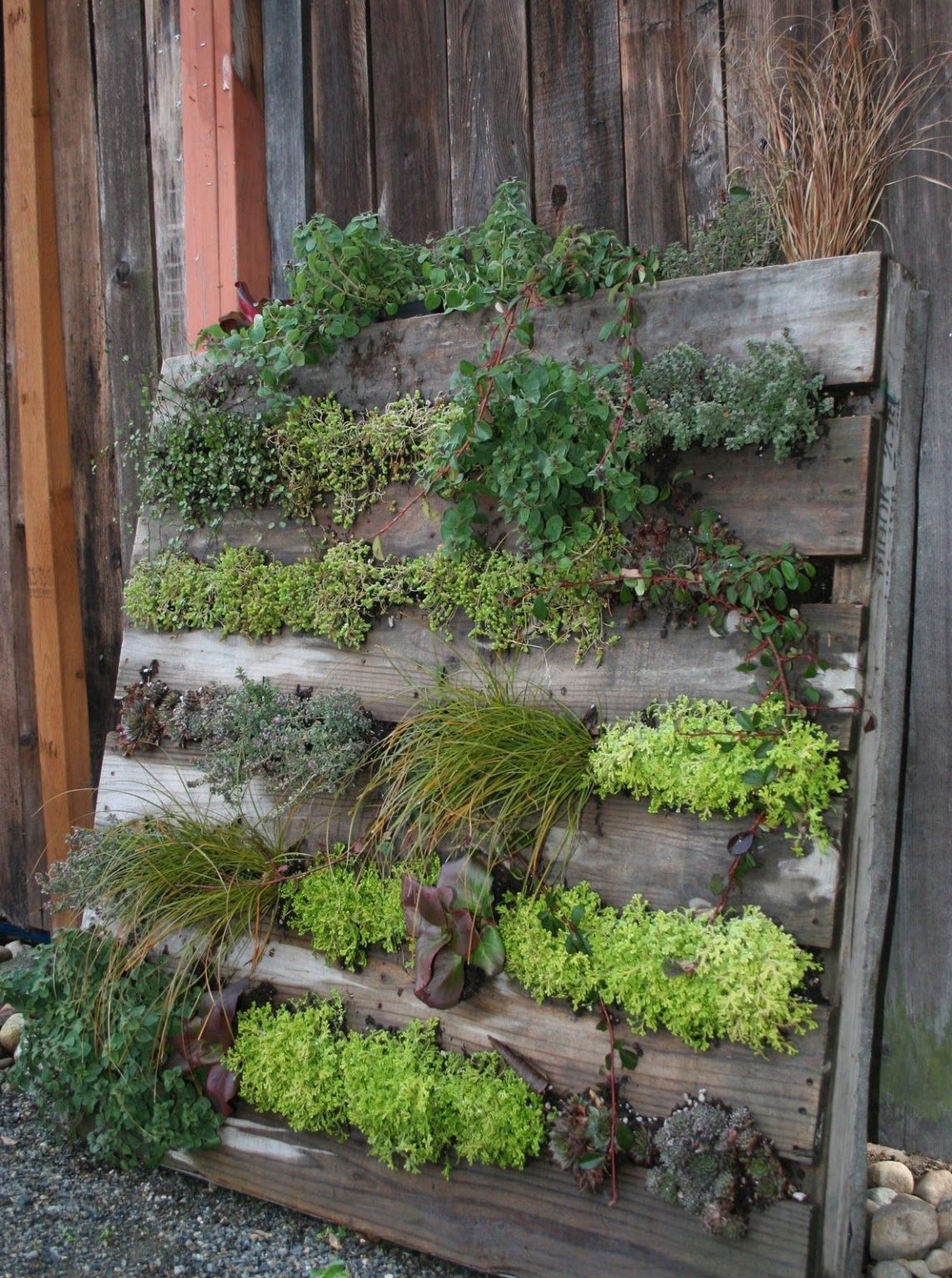44 brilliantes idées DIY: Comment créer un mur végétal en palette pour ... 44 brilliantes idées DIY: Comment créer un mur végétal en palette pour ...