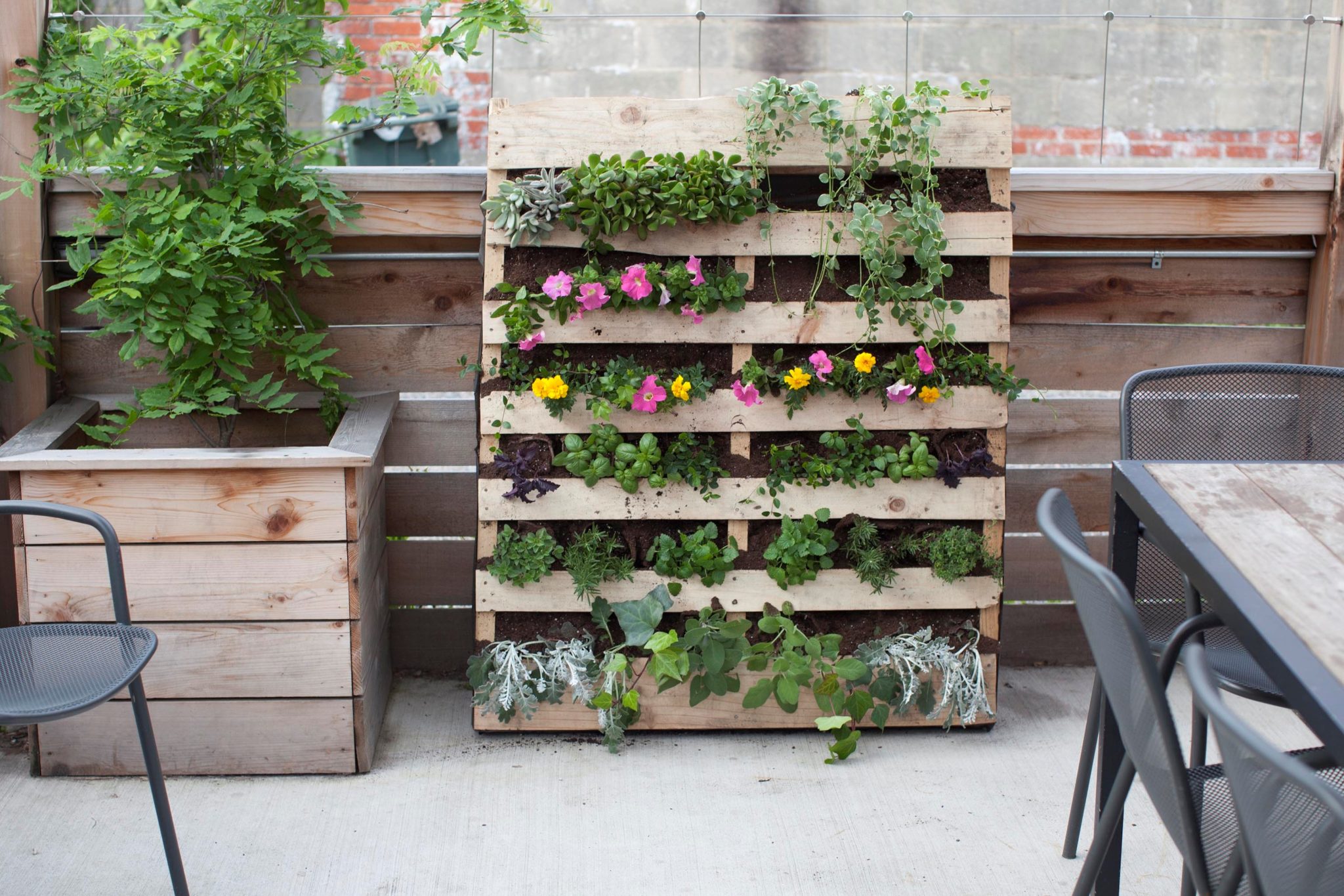 44 brilliantes idées DIY: Comment créer un mur végétal en palette pour ... 44 brilliantes idées DIY: Comment créer un mur végétal en palette pour ...