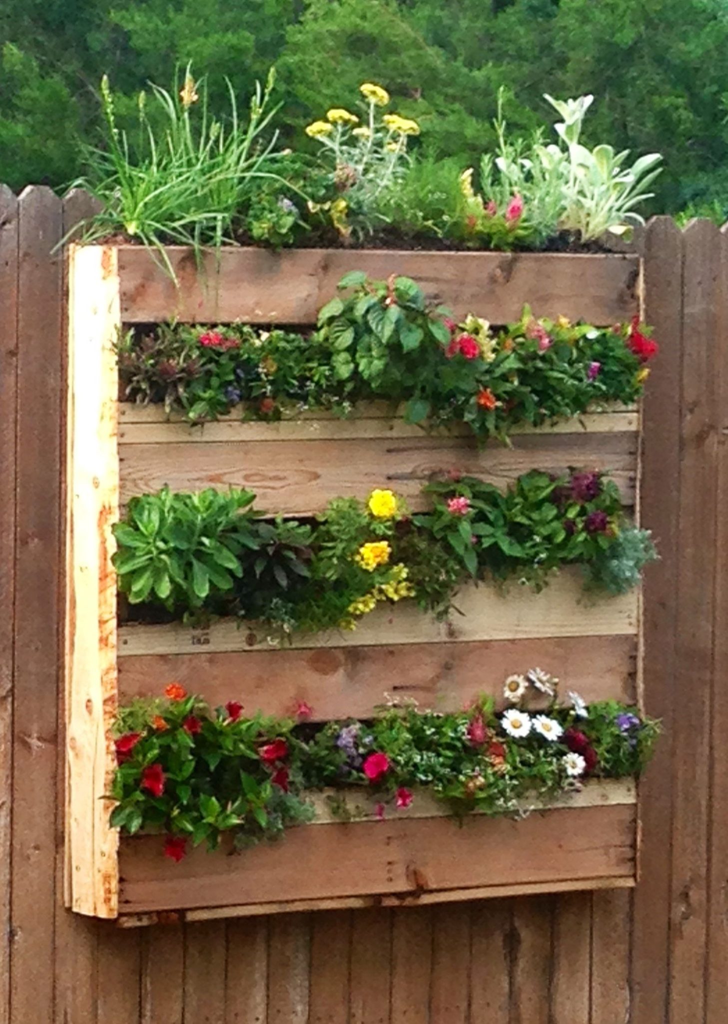 44 brilliantes idées DIY: Comment créer un mur végétal en palette pour ... 44 brilliantes idées DIY: Comment créer un mur végétal en palette pour ...