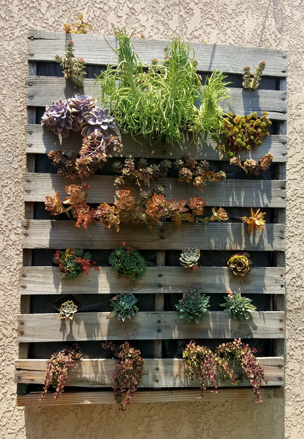 44 brilliantes idées DIY: Comment créer un mur végétal en palette pour ... 44 brilliantes idées DIY: Comment créer un mur végétal en palette pour ...