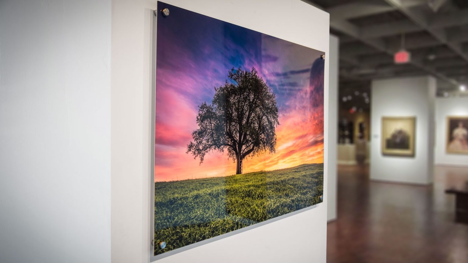 Des idées d'impression sur plexiglas qui est meilleure que sur toile ...