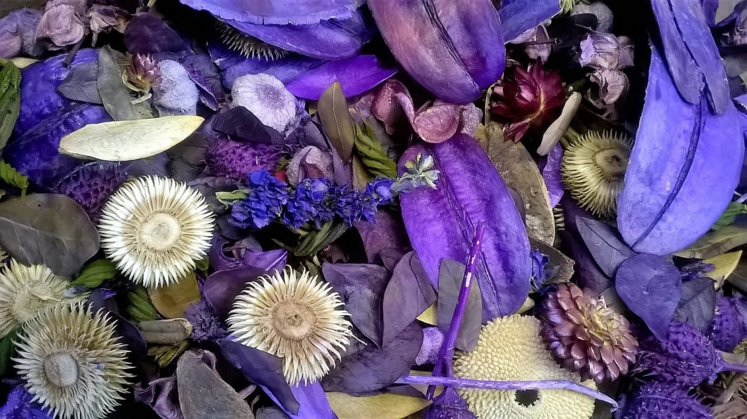 Ingrédients nécessaires pour un pot-pourri fait maison - DIY, Maison ...