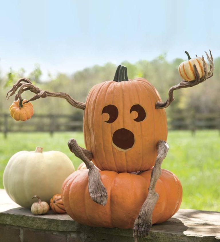 55 idées de décoration et l'histoire de la citrouille d’Halloween ...