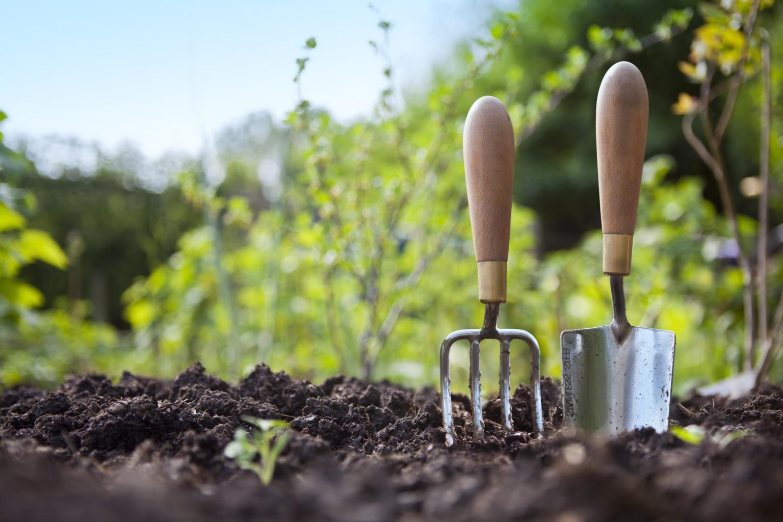 Jardiner en février | Conseils de jardinage | Zenidées.com