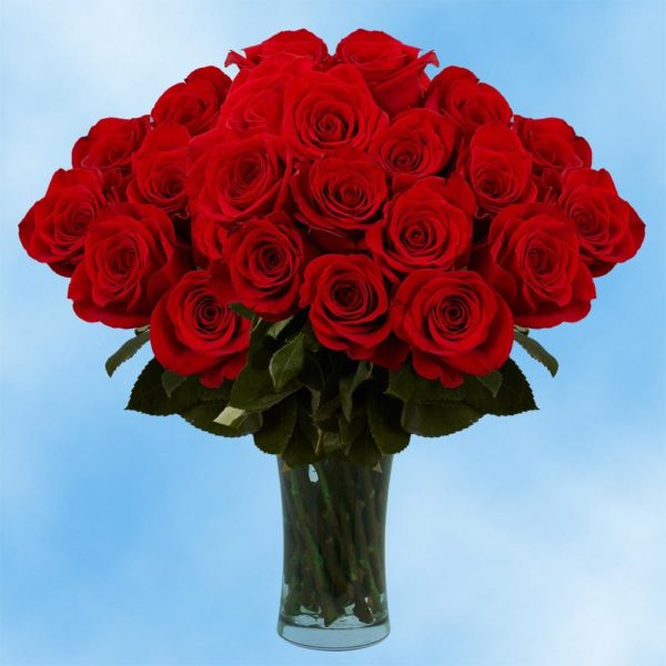 De bons conseils pour choisir un joli bouquet de roses pour la Saint ...