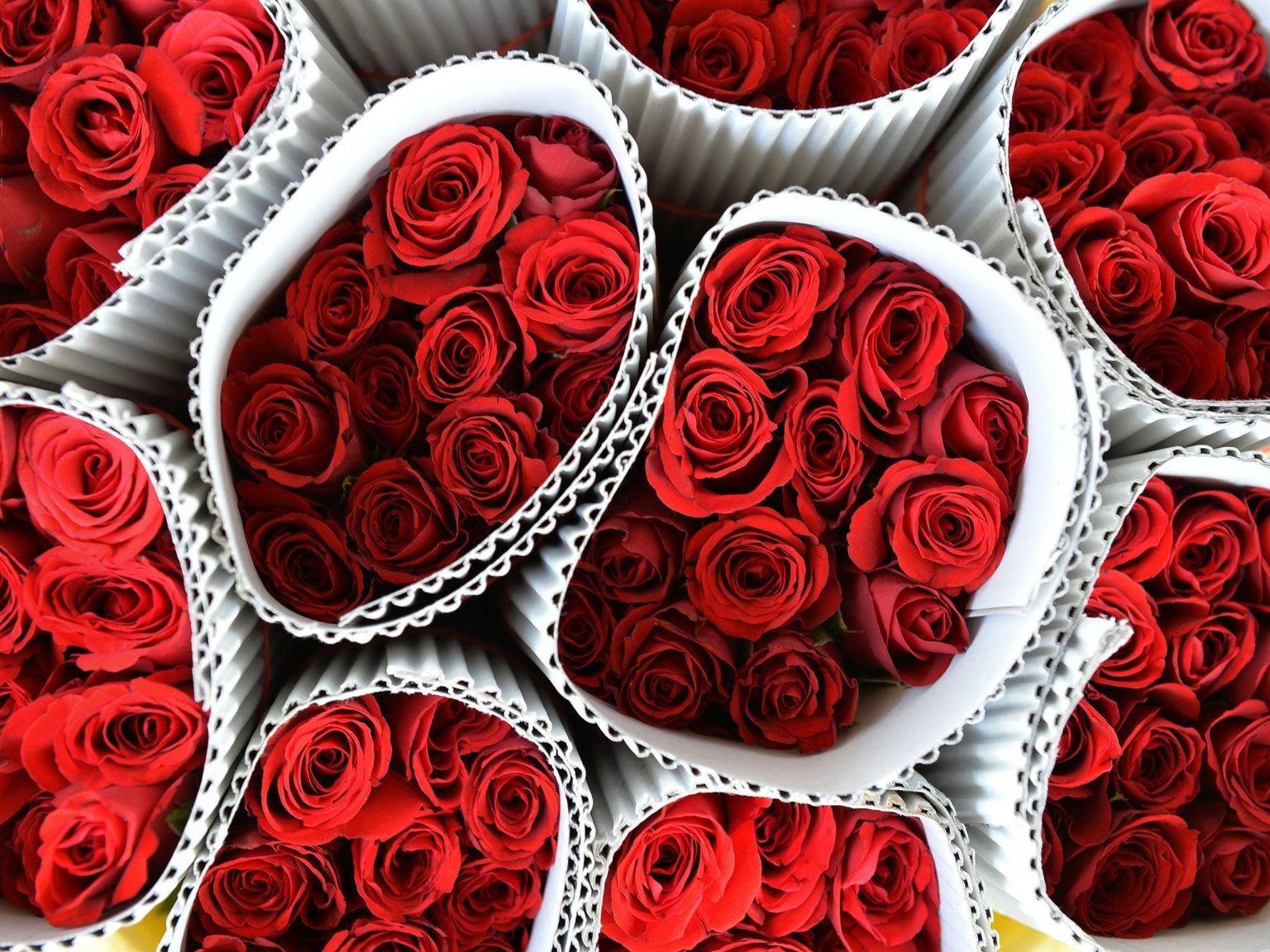 De bons conseils pour choisir un joli bouquet de roses pour la Saint ...