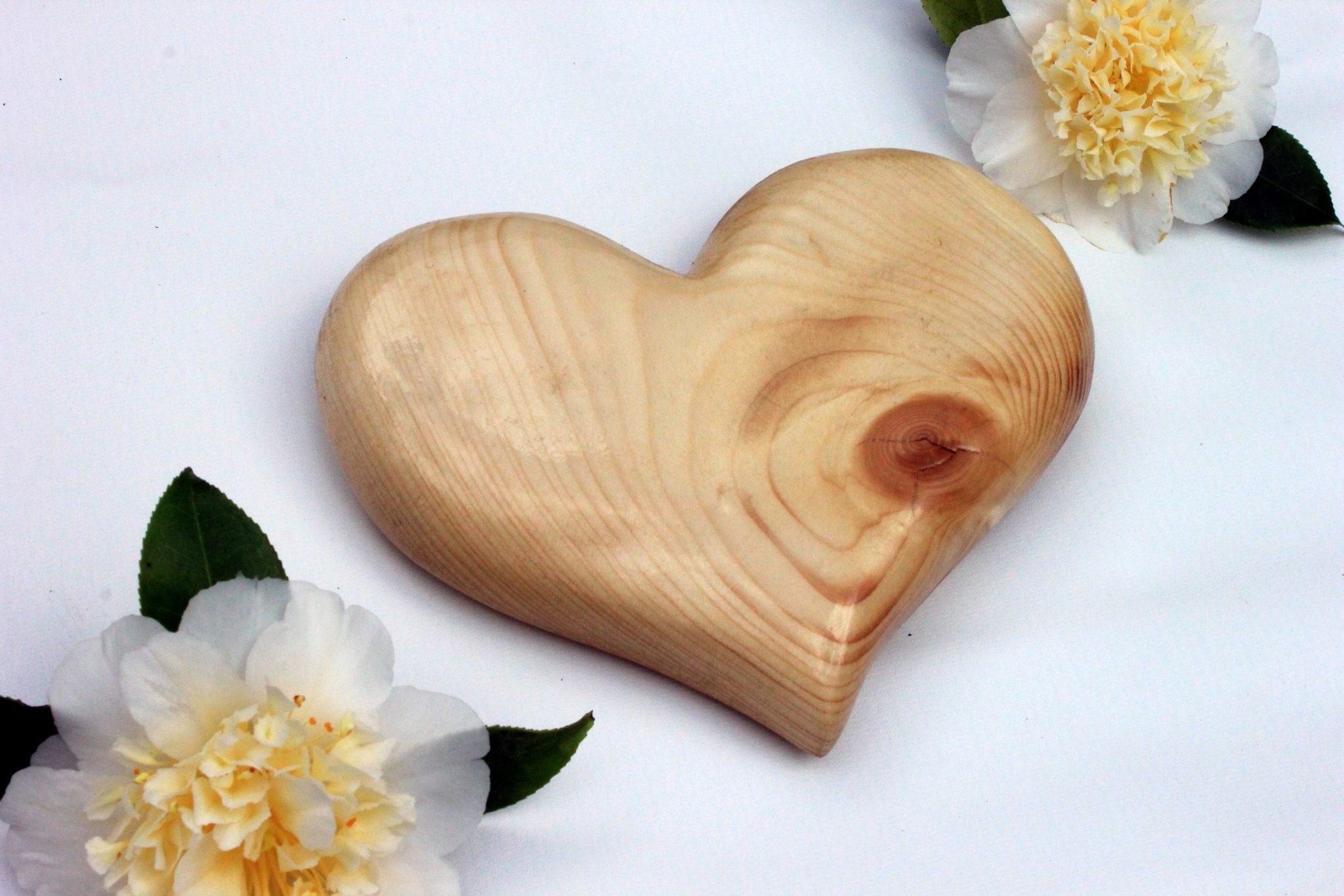 Cœur en bois | Projet DIY en 8 étapes simples | Zenidées.com